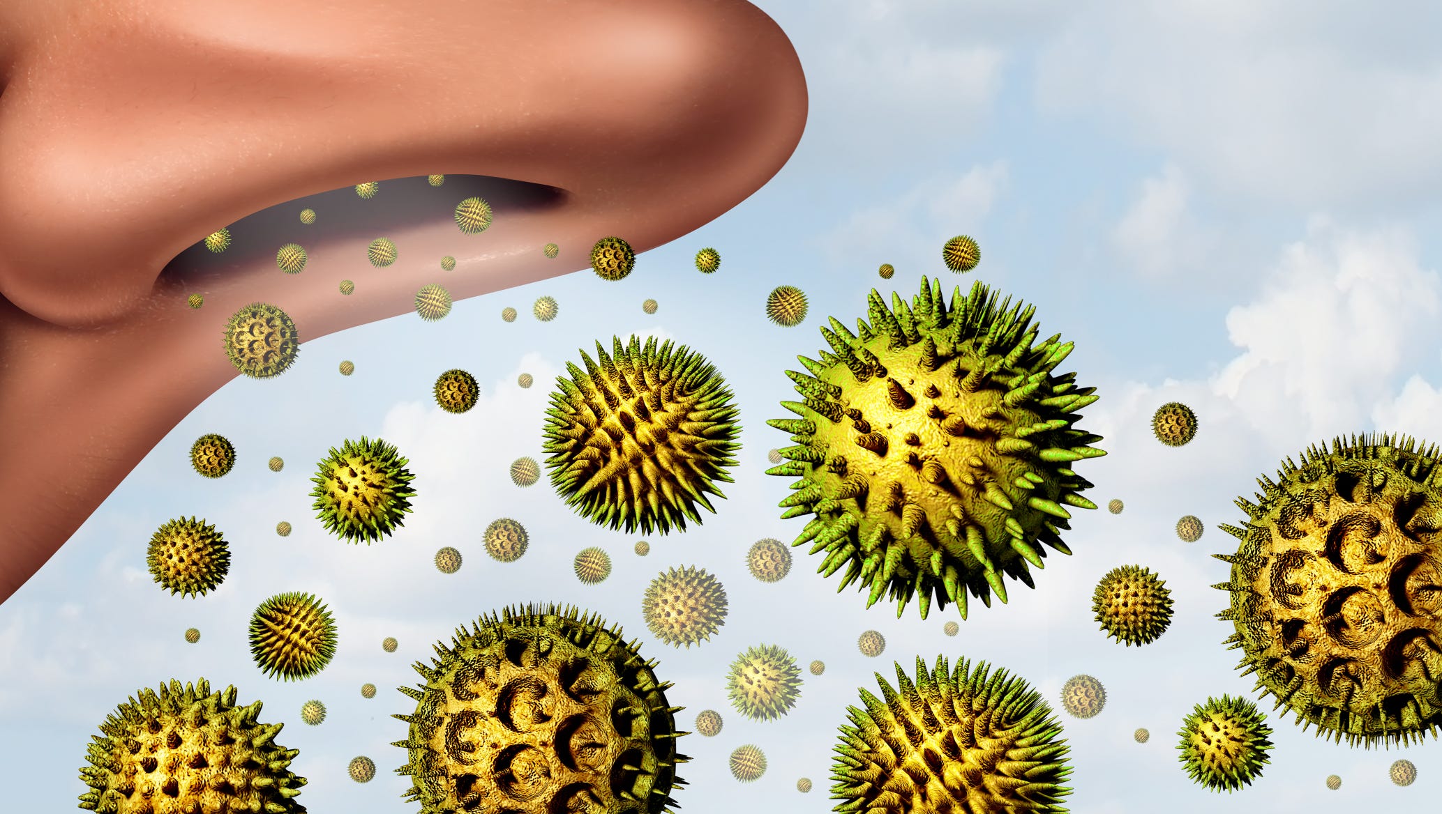 Pollen a pest for allergy sufferers area ahead of rainy weekend