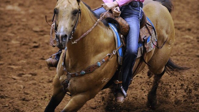 Professional Rodeo Cowboys Association standings