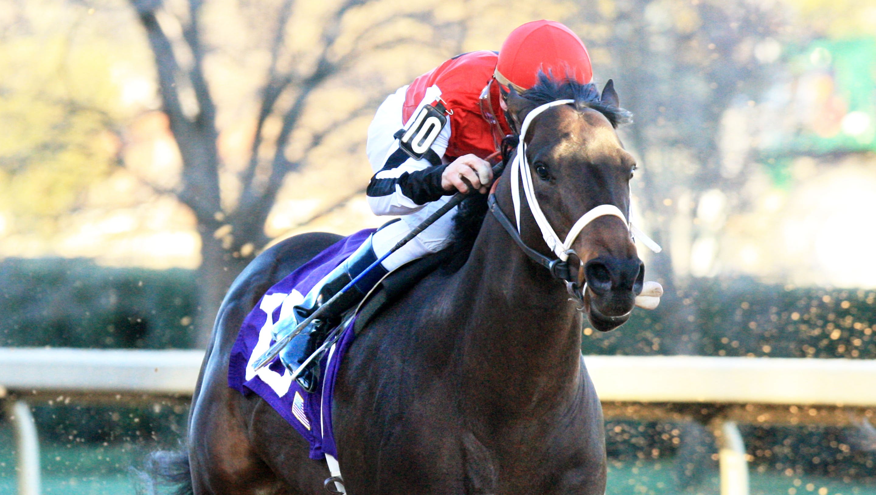 Kentucky Derby 2014 | Calvin Borel to ride Ride On Curlin