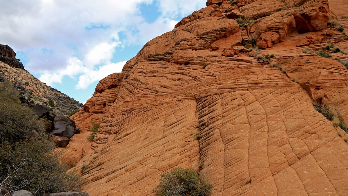 Yellow Knolls Trail to the High Point Trail