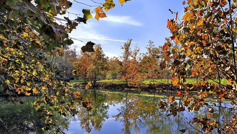 Fall foliage 2018: Here's when the leaves will be at peak in Indiana