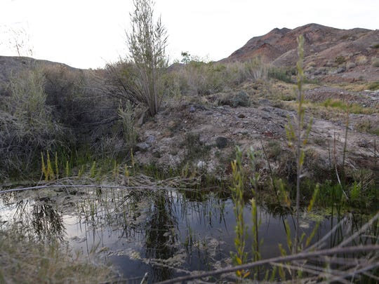 'It would likely dry up.' Rare desert spring imperiled by company's ...