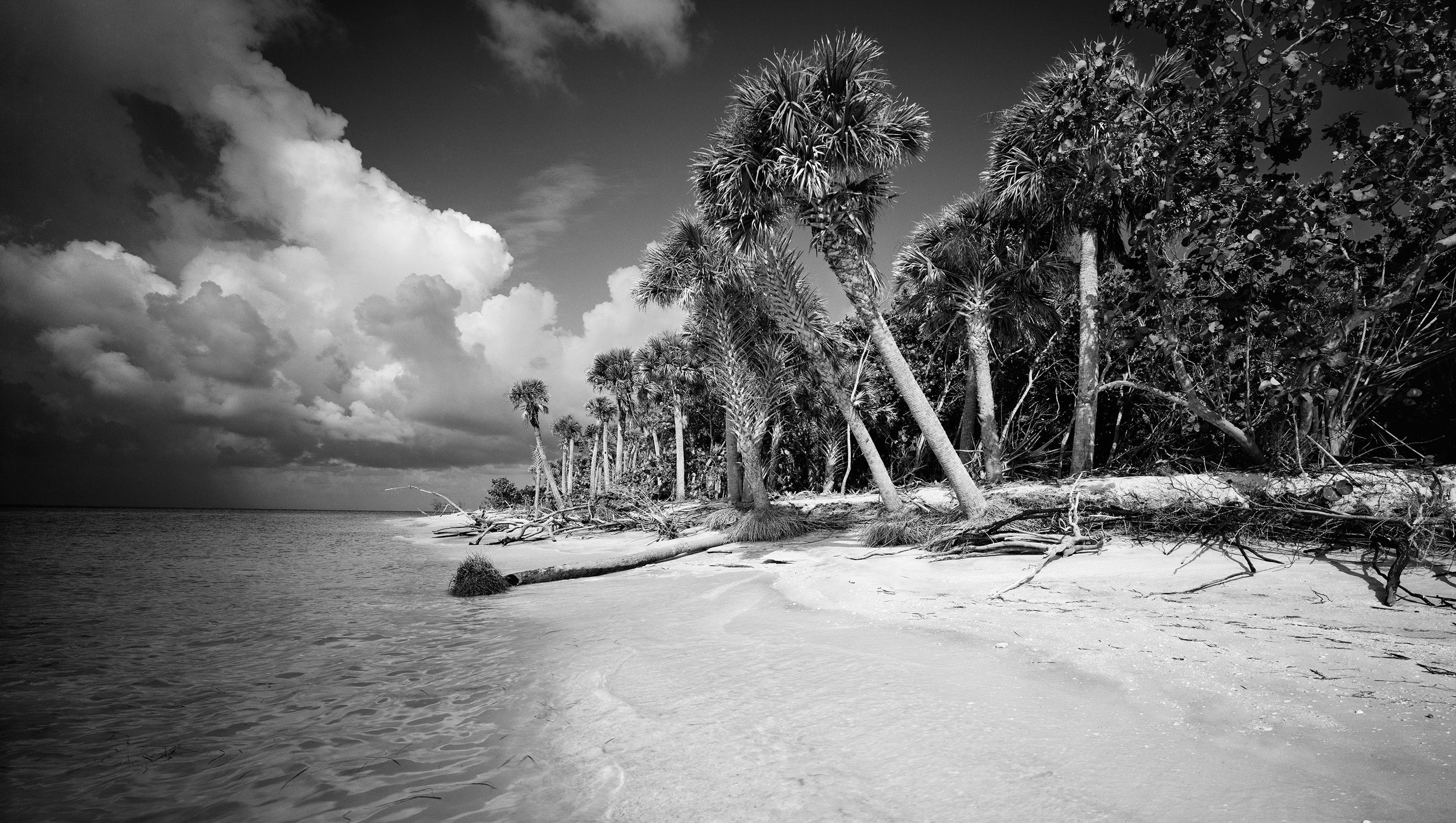Clyde Butcher's photography defines the restorative power of nature
