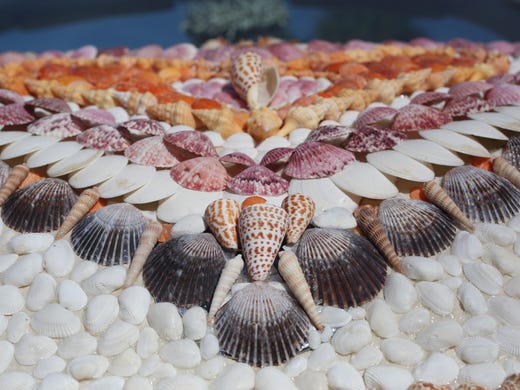 Good Morning America celebrates National Seashell Day on Sanibel