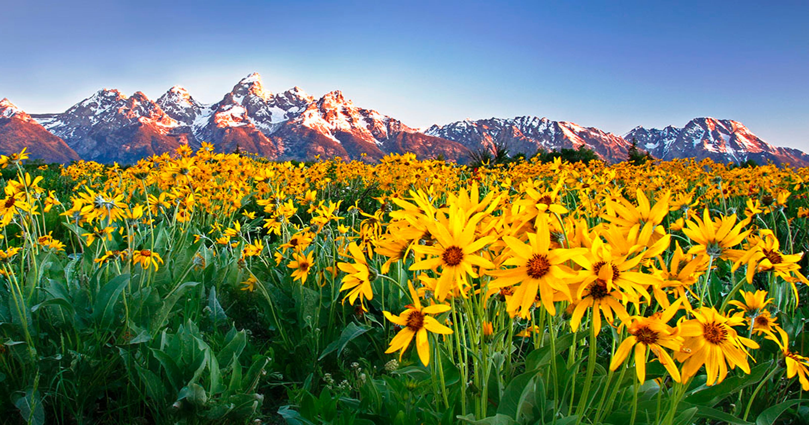 Grand Teton National Park Is A Hiker s Paradise grand-teton-national-park-is-a-hiker-s-paradise