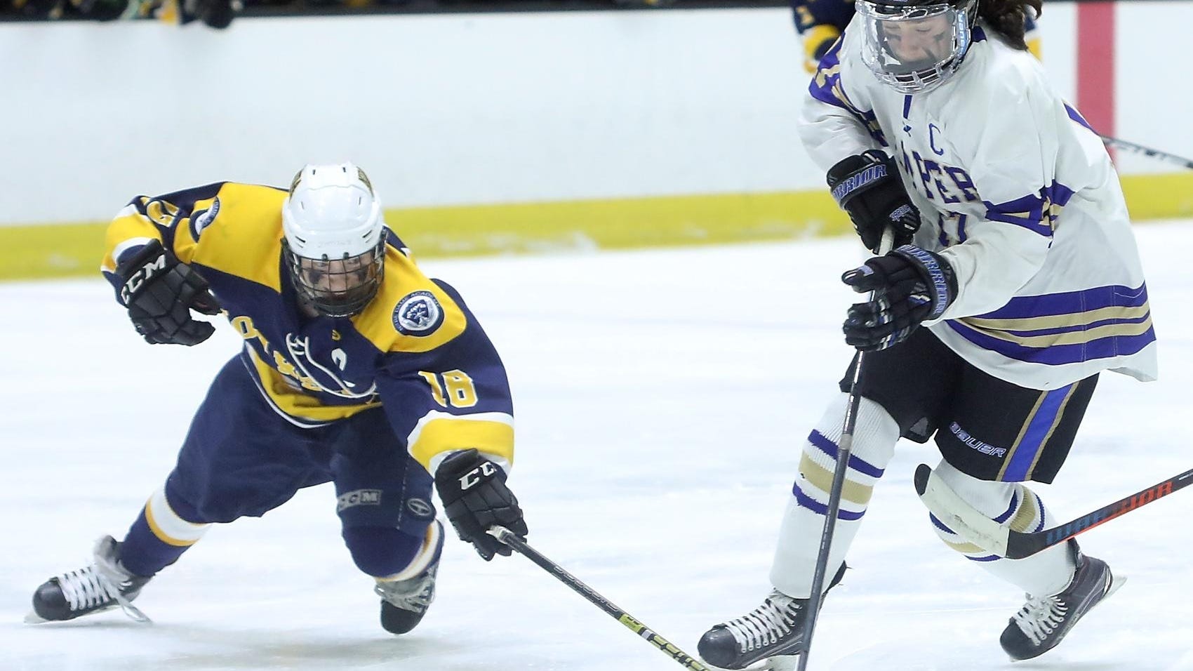 GIRLS HOCKEY PLAYER OF THE YEAR: Norwell's Casey Ward