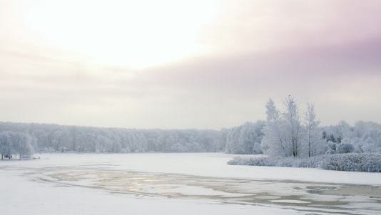 Cryoseisms occur when frozen water in soil expands and cracks.