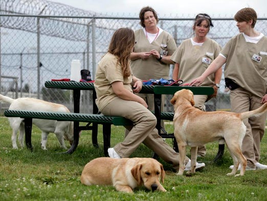 Inmates at the Kentucky Correctional Institute for Women train service ...