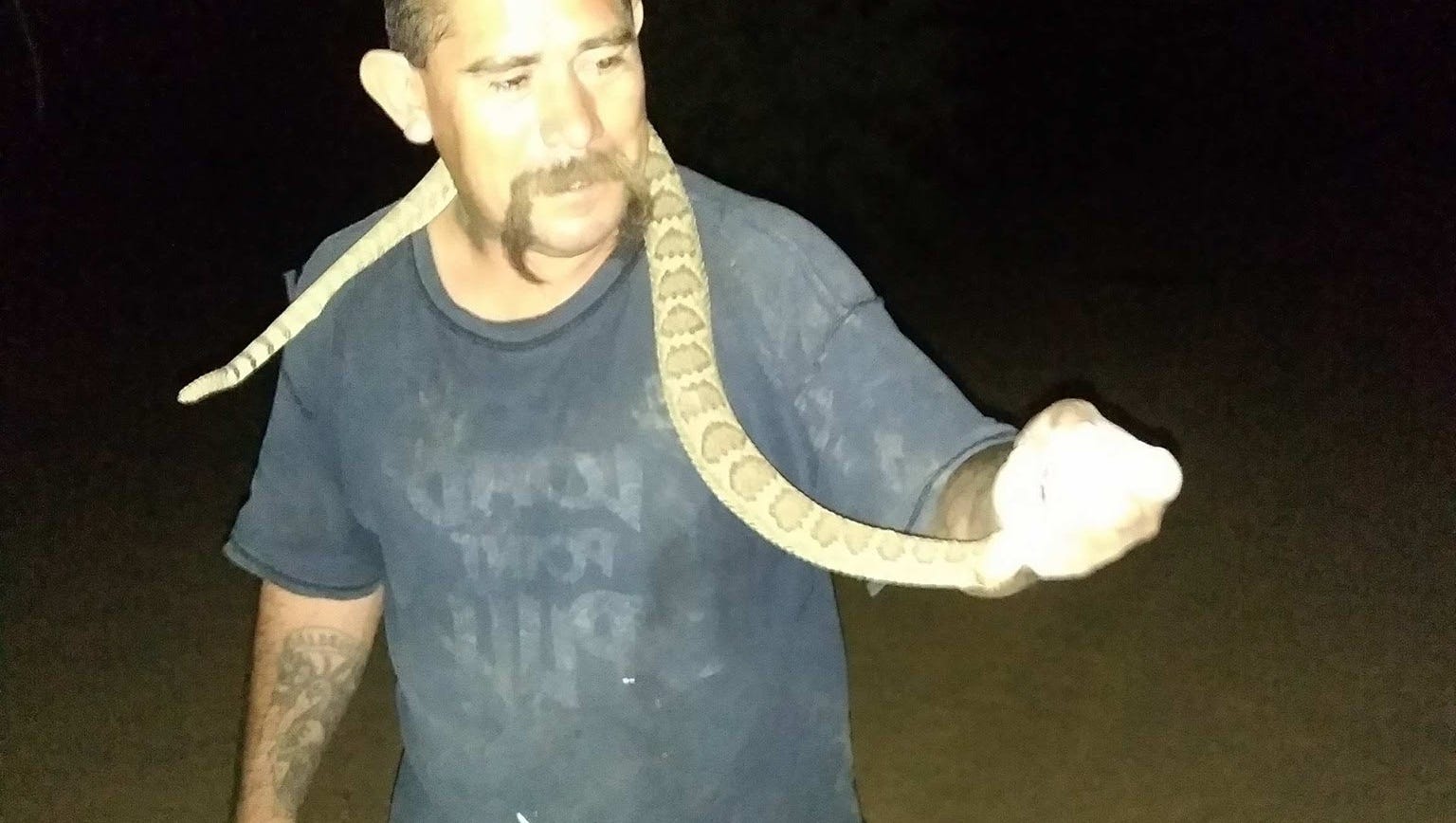 Coolidge man tries to eat rattlesnake; snake bites back