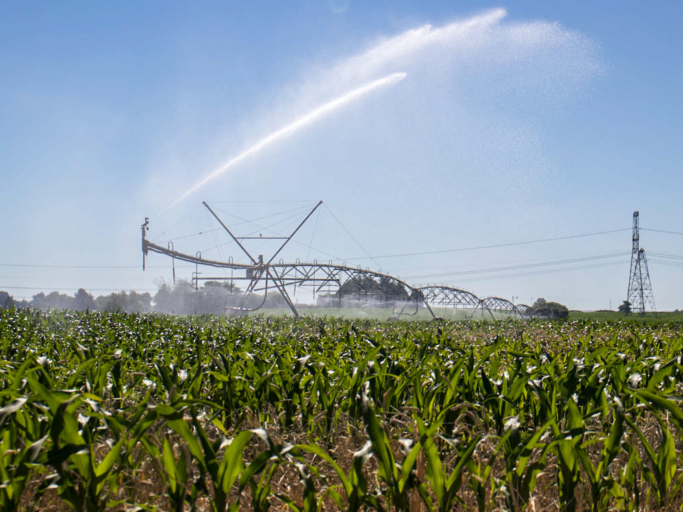 Farming activity contaminates water despite best practices