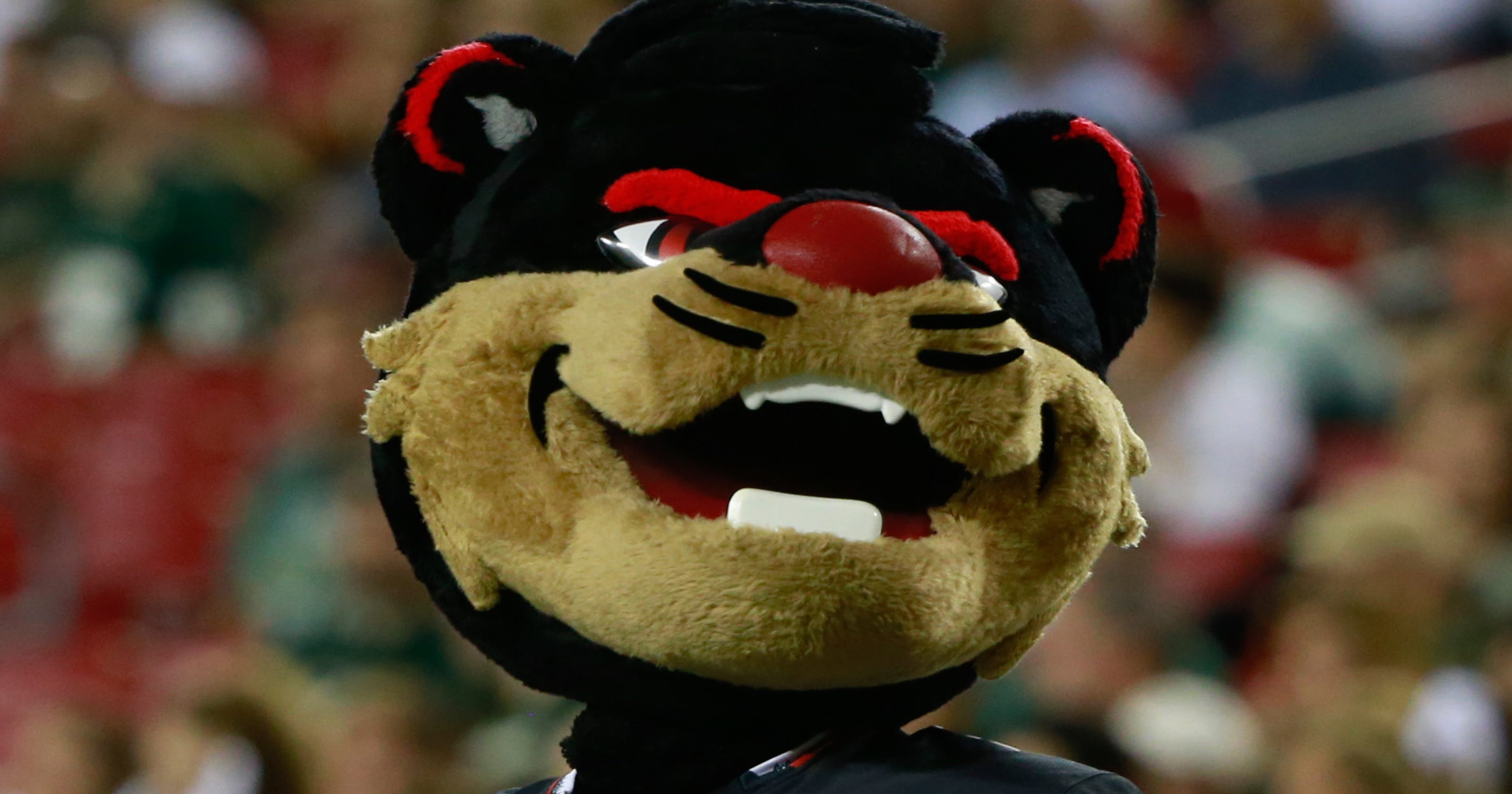 Cincinnati Bearcats Football | Bleacher Report | Latest News, Scores ...