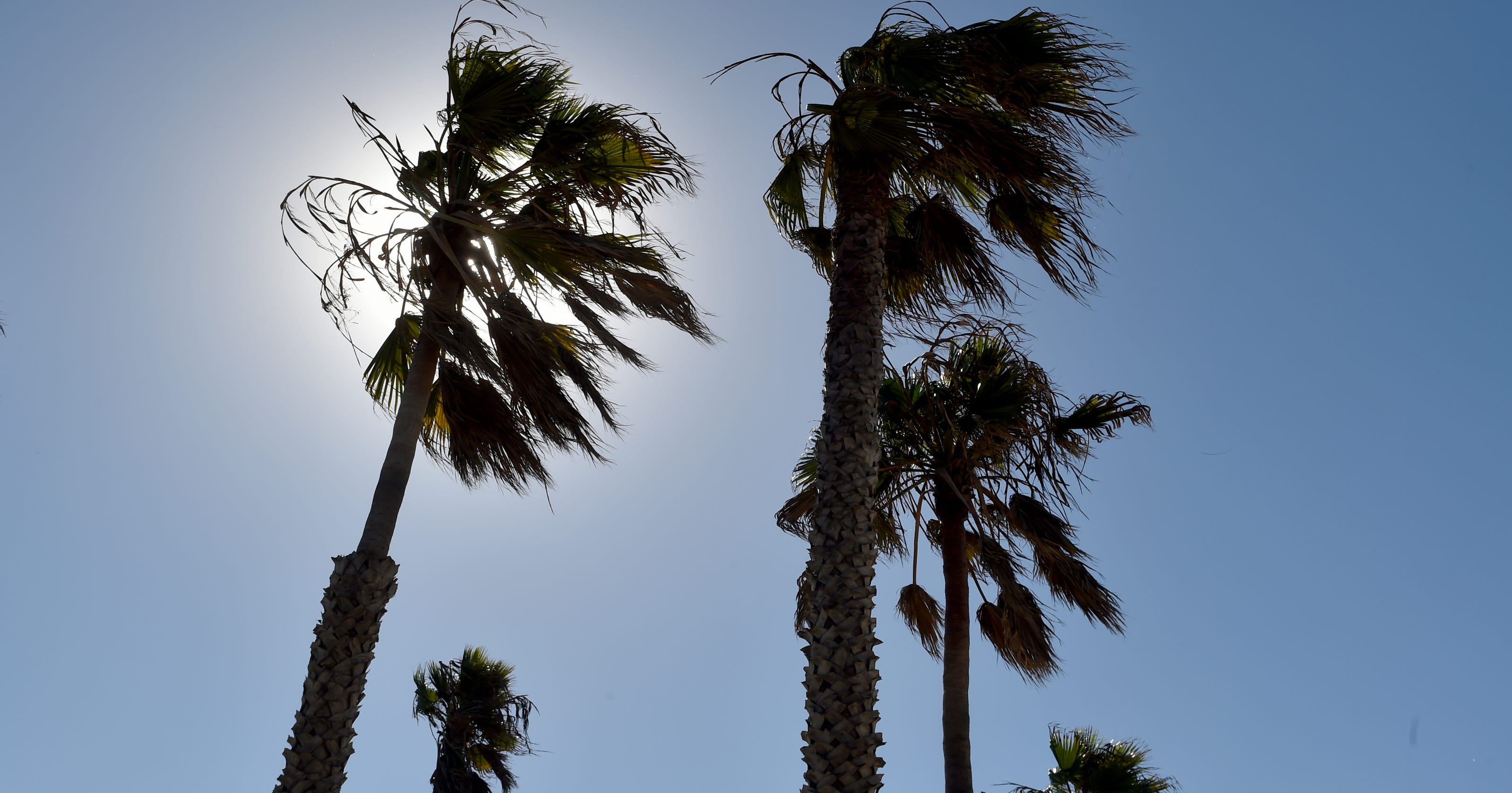 Warm, windy weather expected over the weekend