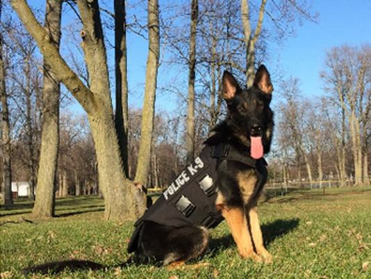 Nonprofit helps 2 Michigan K9s get protective vests