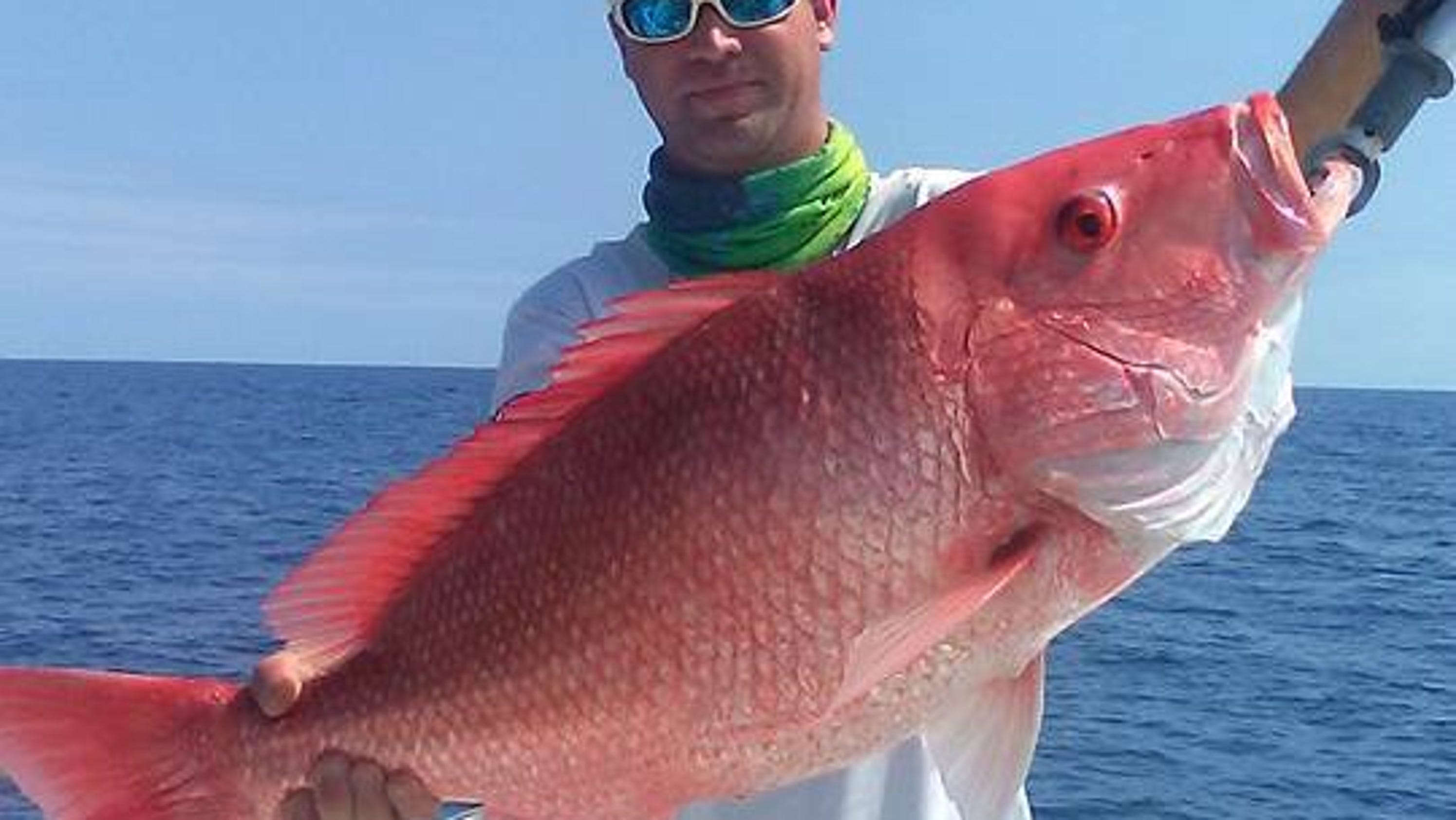 Red snapper season 2018: Anglers asked to weigh in