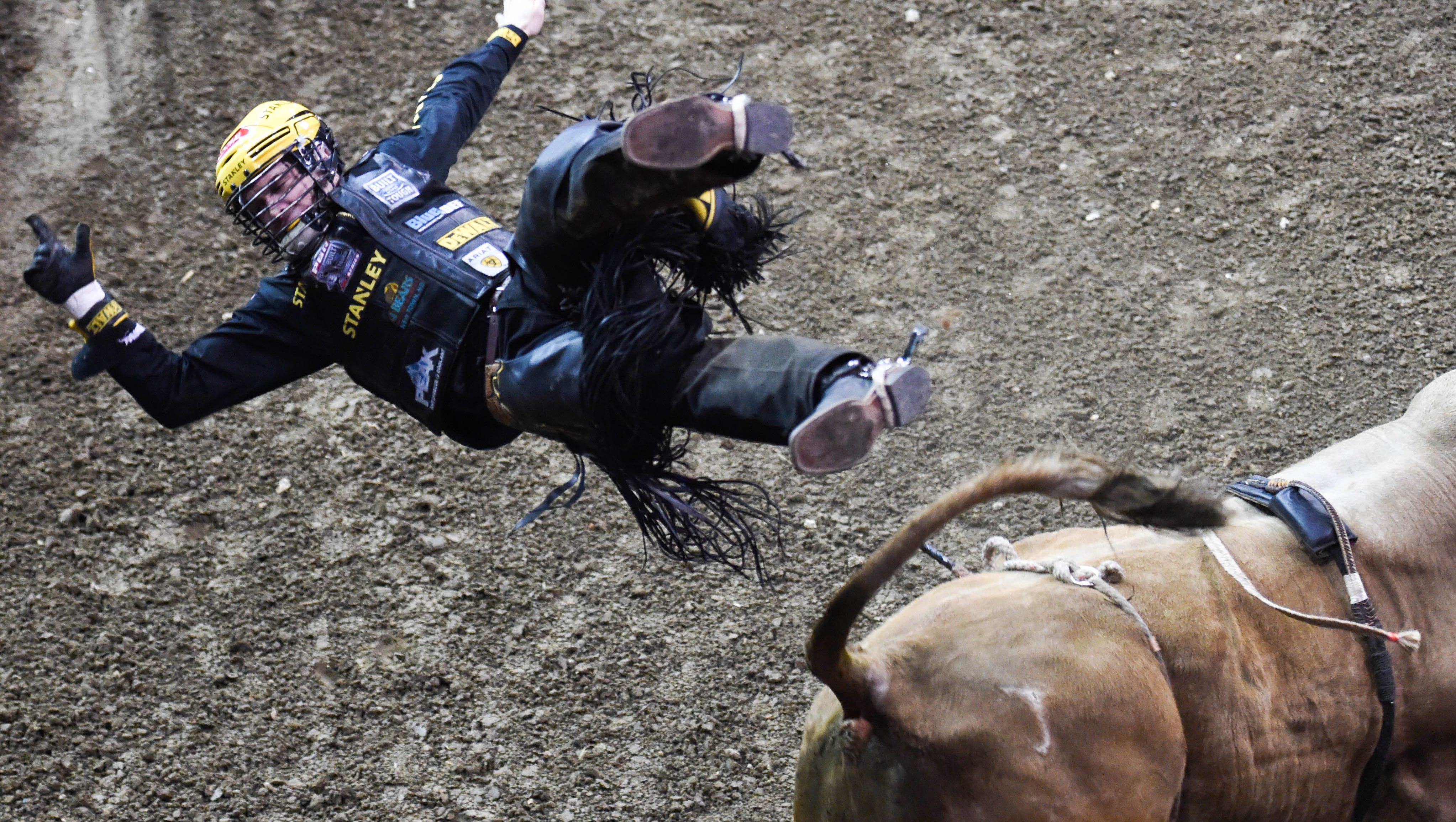 Pro bull riders risk life and limb for one more ride