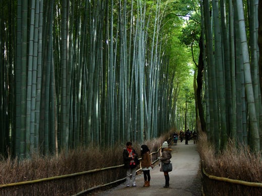 World's coolest tunnels