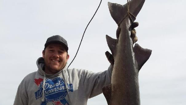 Longest sturgeon on record caught