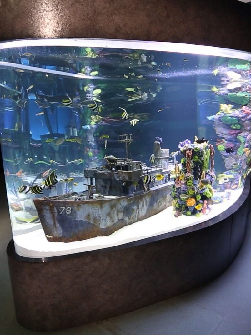 Imaginarium appears on Animal Planet TV show 'Tanked'