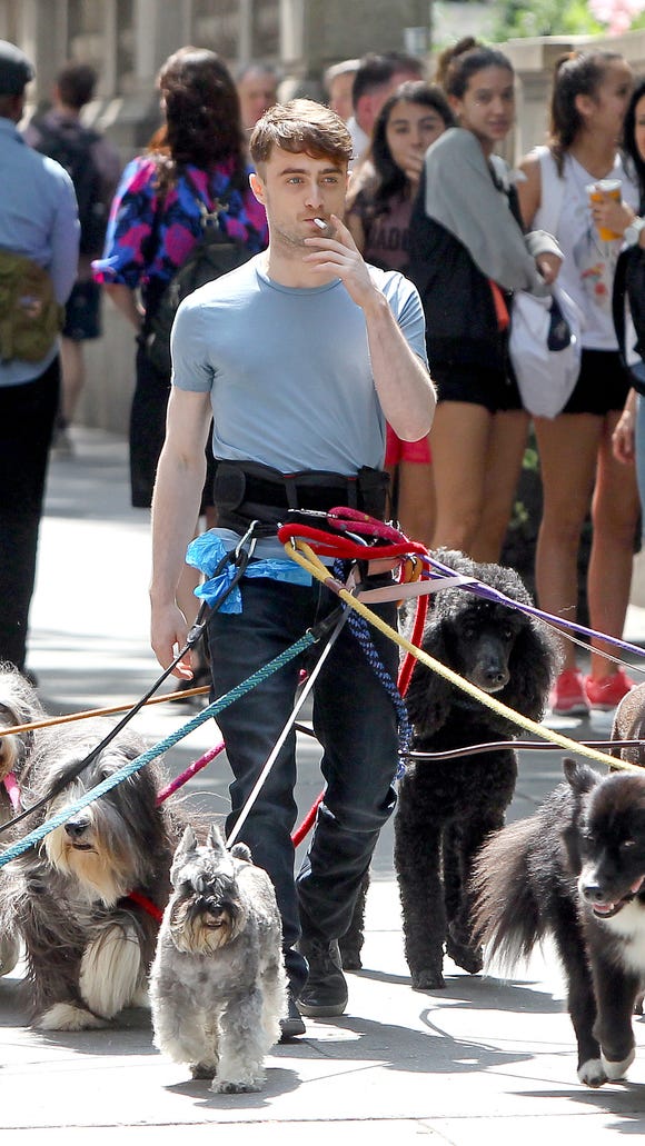 daniel-radcliffe-trainwreck-judd-apatow-walking-dogs-smoking-phoot