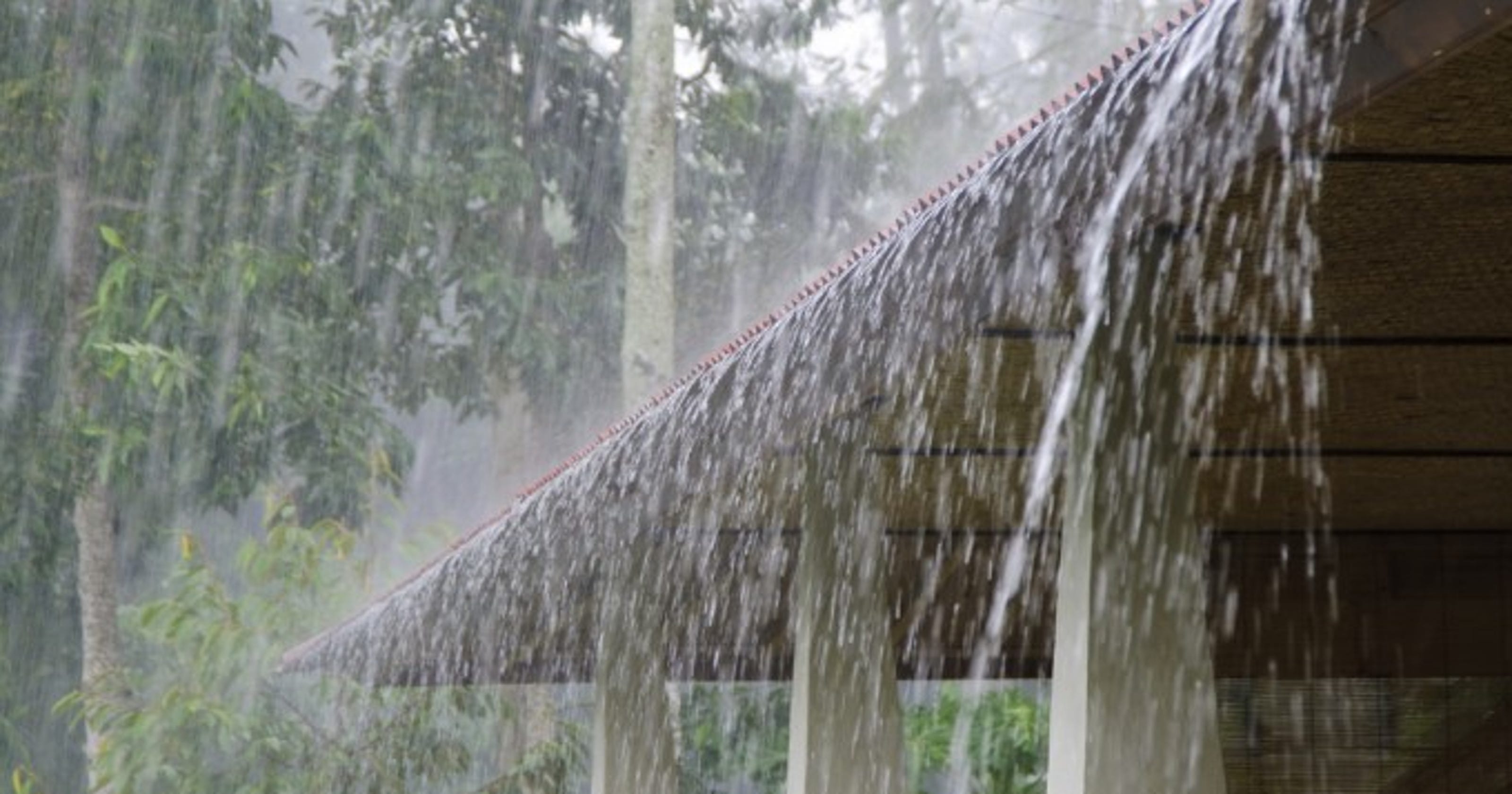 Heavy Rain In Mississippi Through Friday heavy-rain-in-mississippi-through-friday