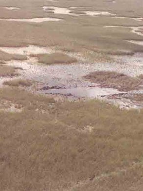 New $10,000 reward for fugitive in 1996 ValuJet crash