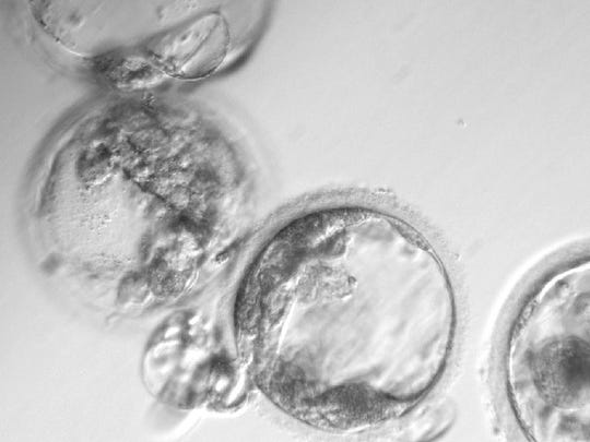 Send in the clones and the bioethicists