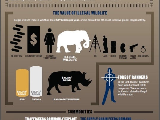 Illegal wildlife trade threatens international security