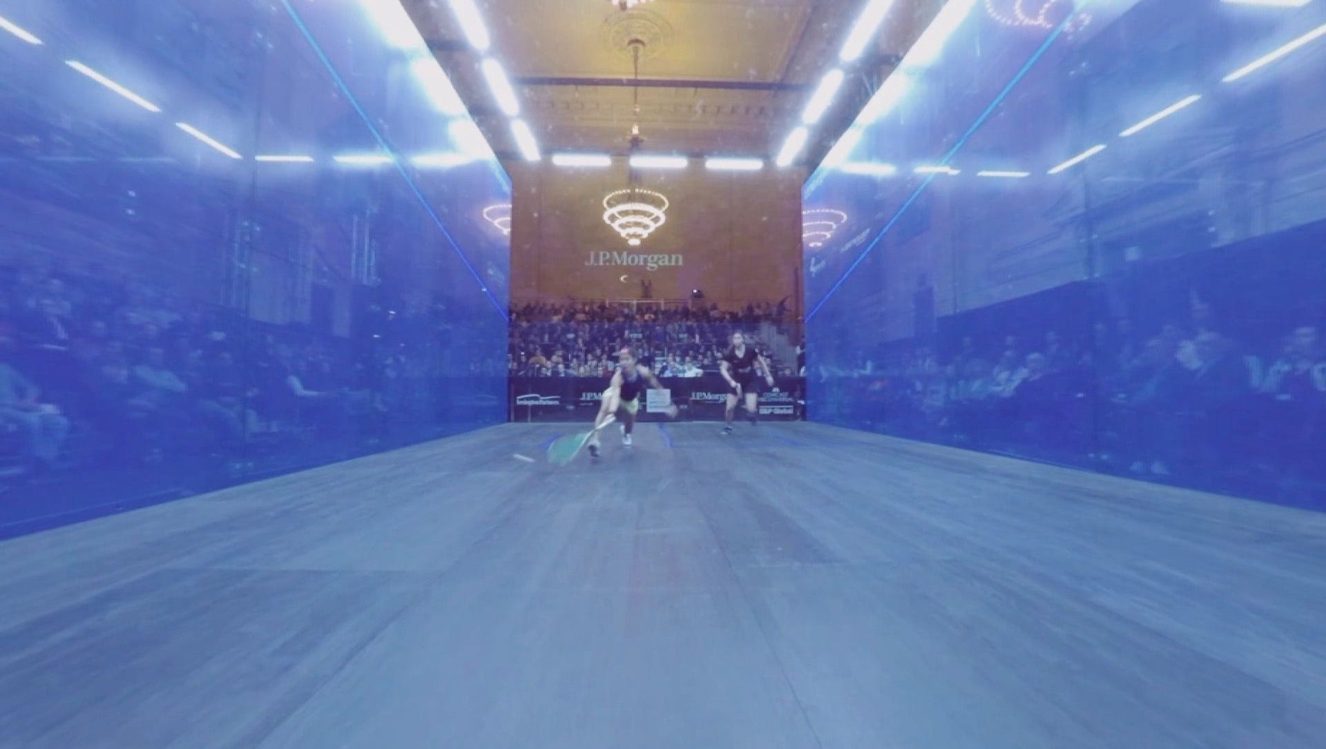 Inside the glass box: See why squash is an incredible sport