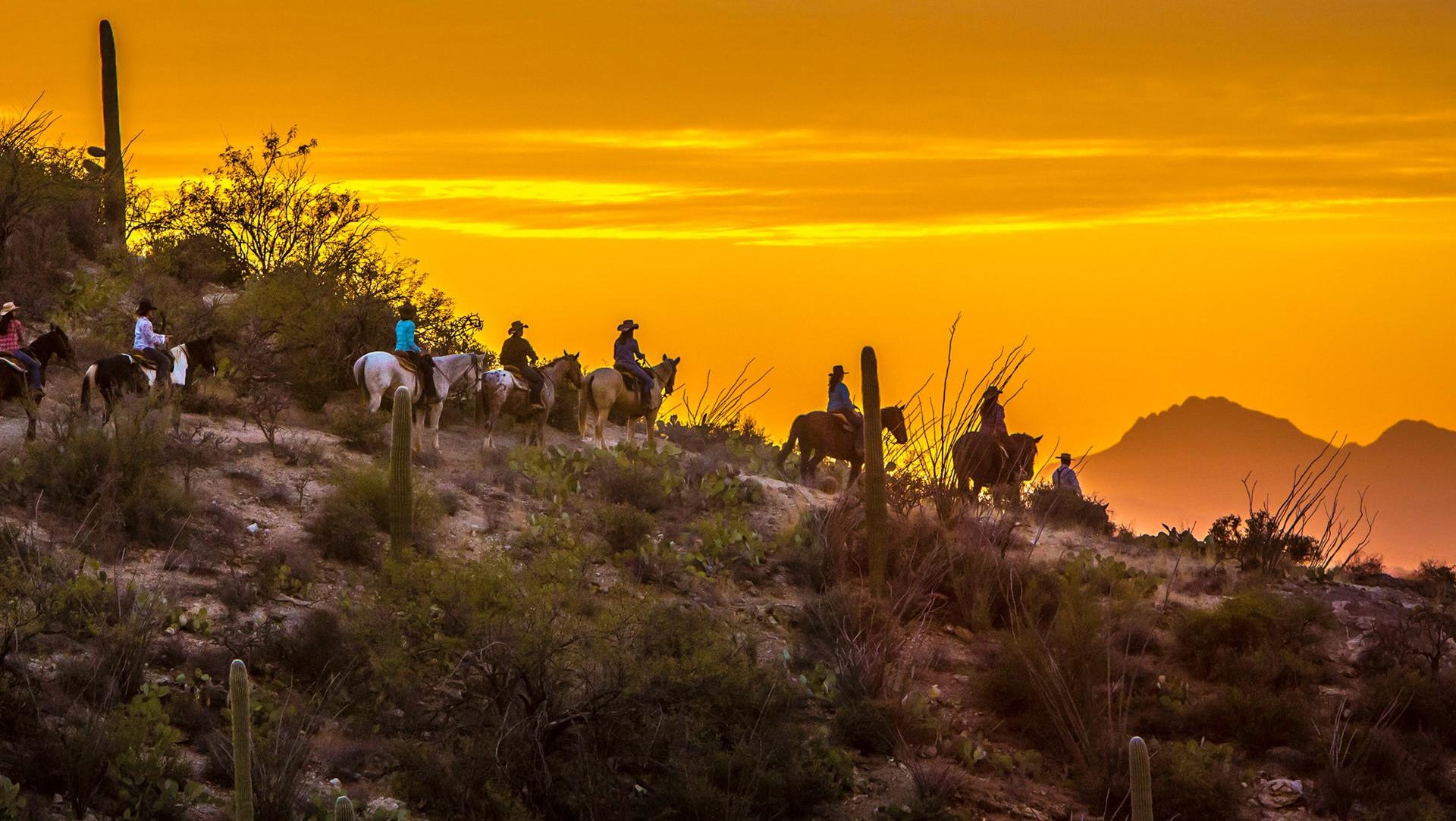 National Day of the Cowboy in Arizona