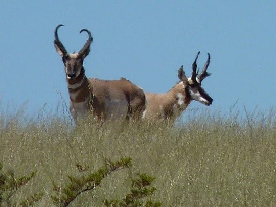 Autumn is the season to explore public lands