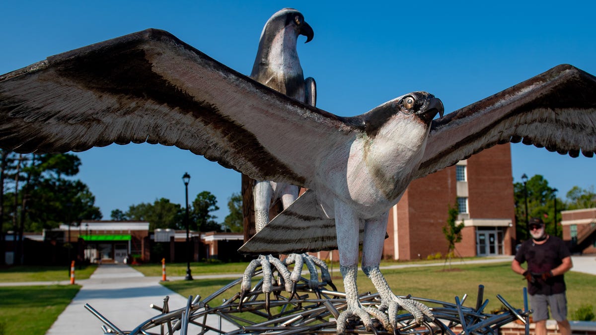 PHOTOS: UNCW welcomes new Seahawk sculpture