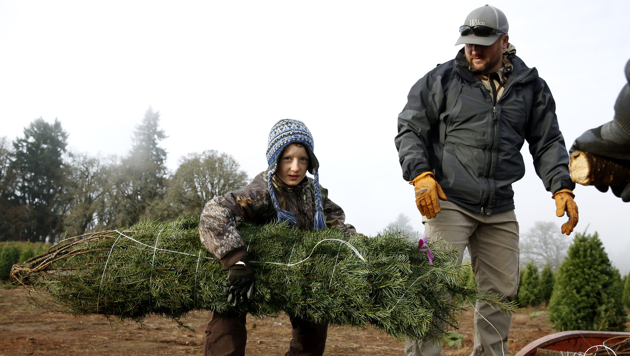 U-Cut, pre-cut Christmas tree farms in and near Salem, Oregon