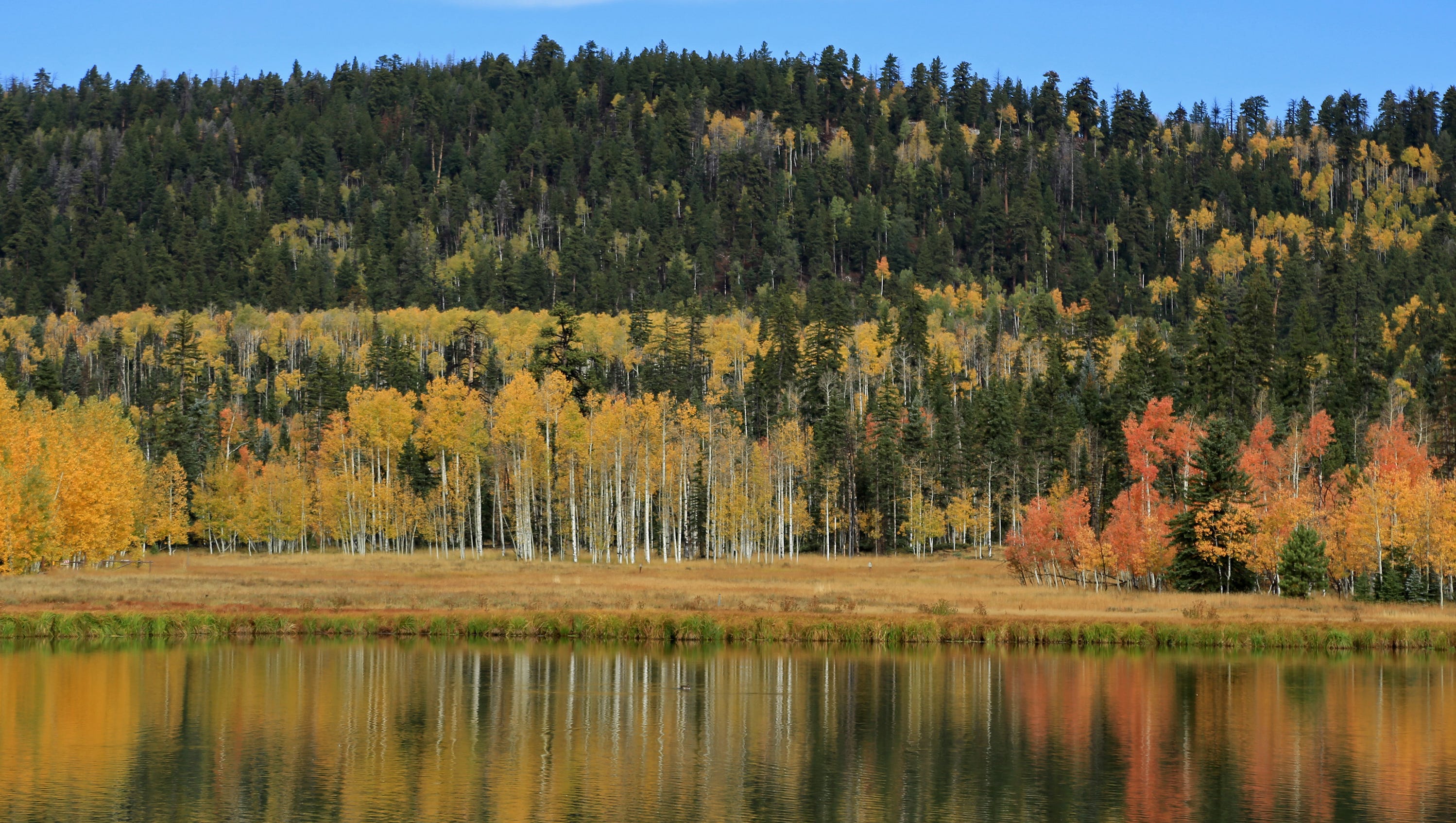 Autumn meets winter on Cedar Mountain