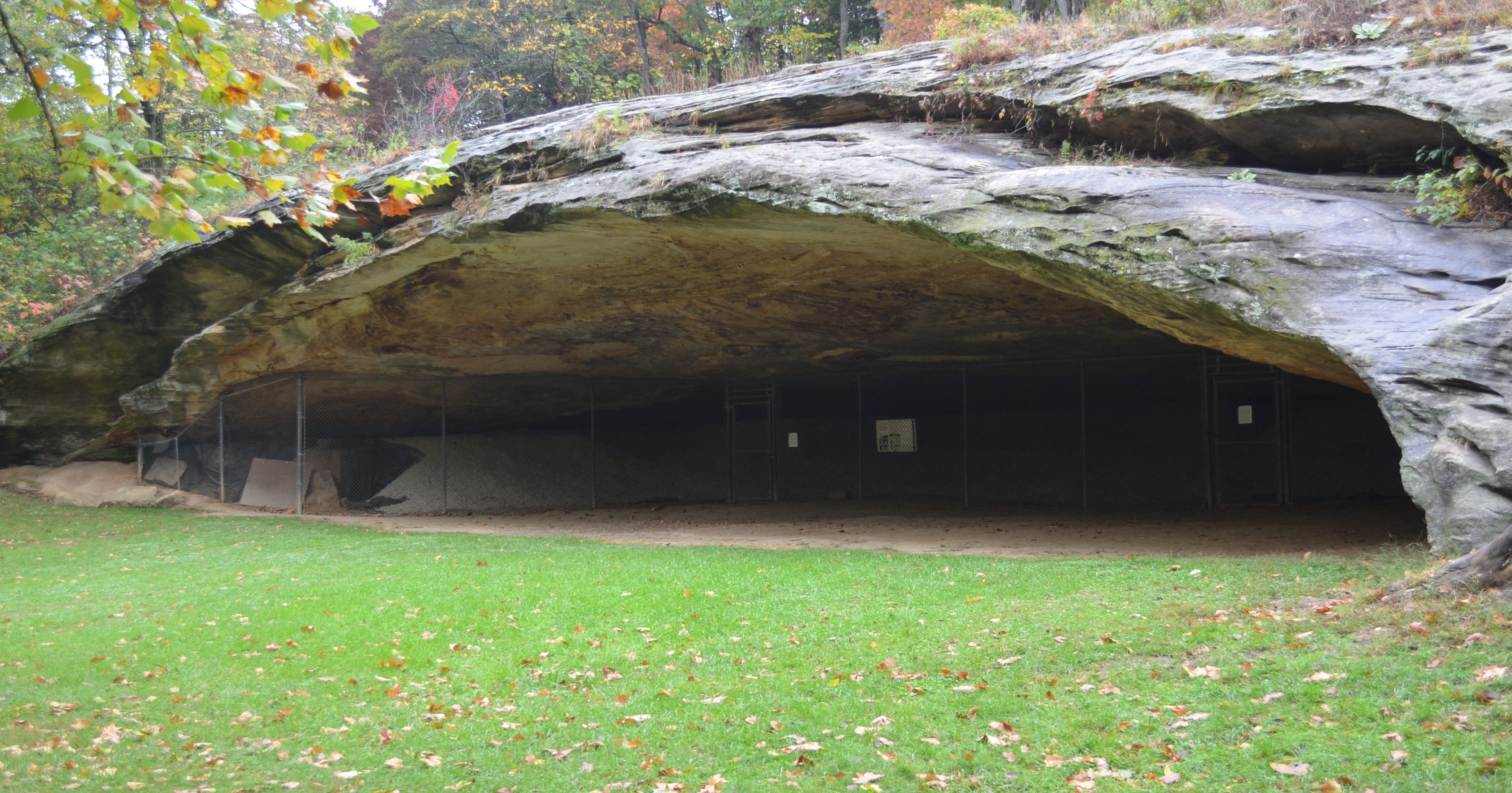 Springfield News-Leader