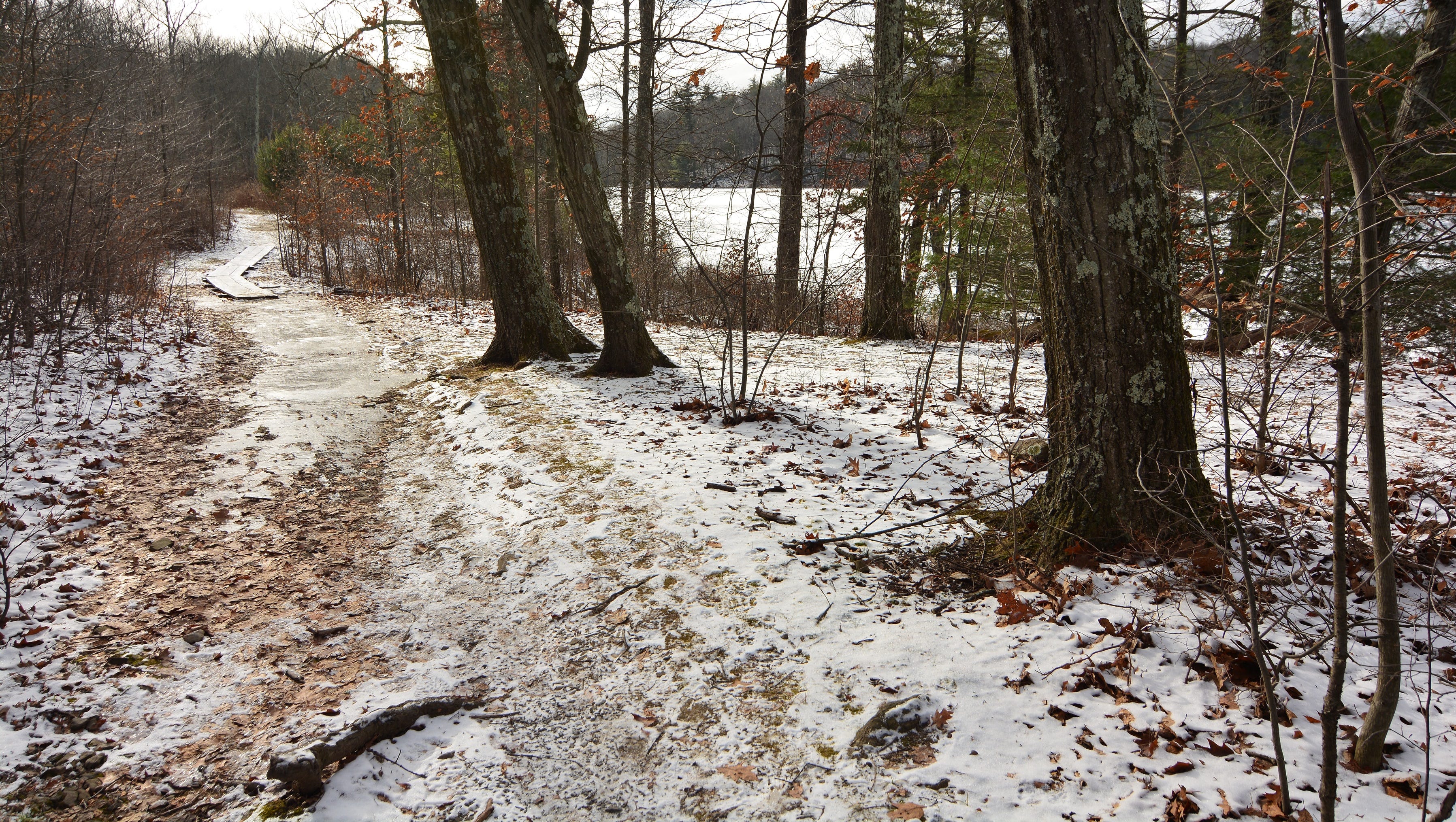 Shaupeneak Ridge hike offers a variety of things to see, do