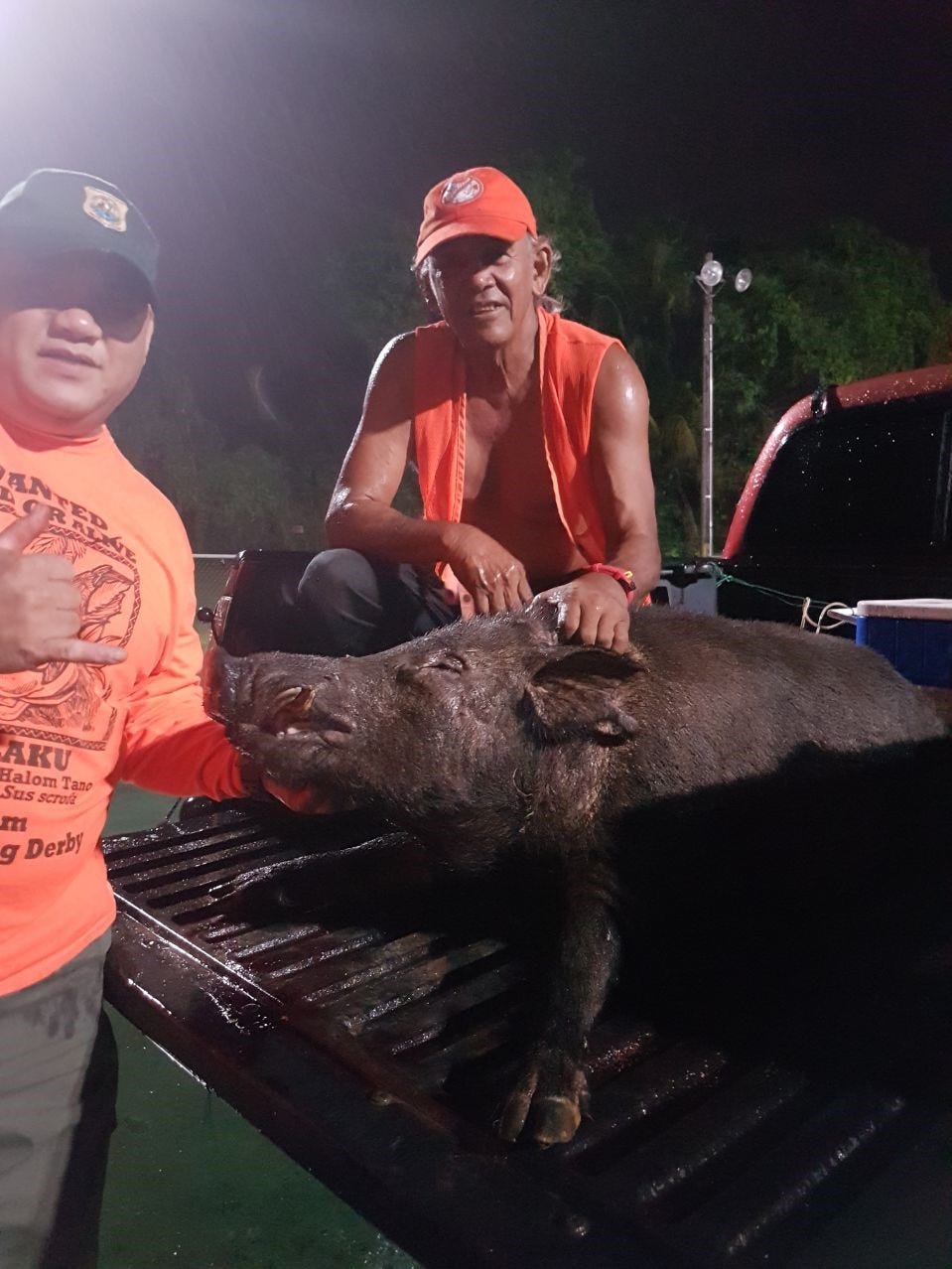 Pig hunting derby helps control wild population