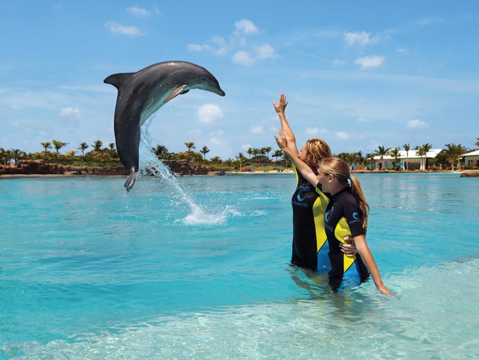 Tour the Atlantis Paradise Island Resort
