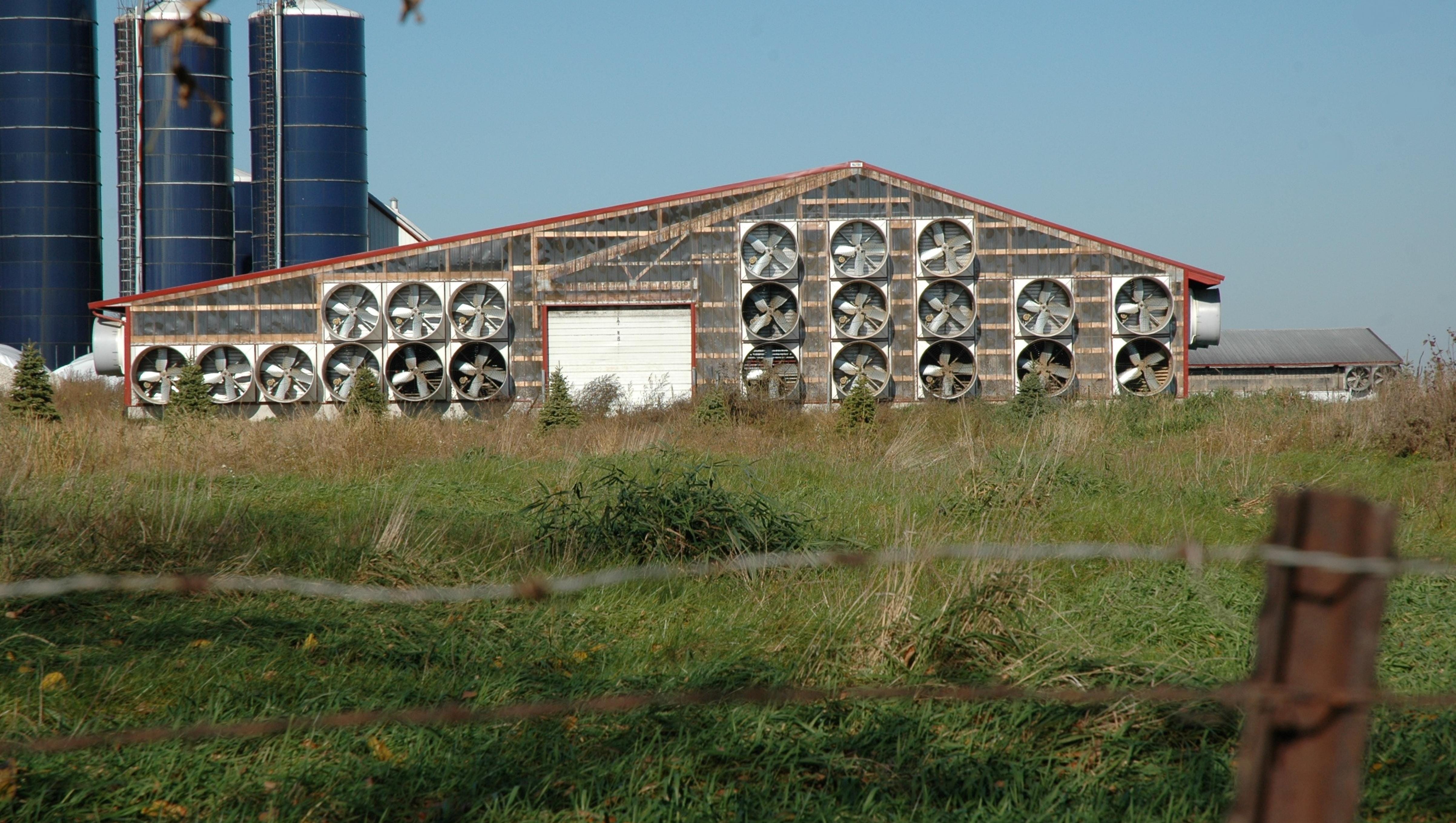 Mechanical Ventilation Options for Dairy Barns