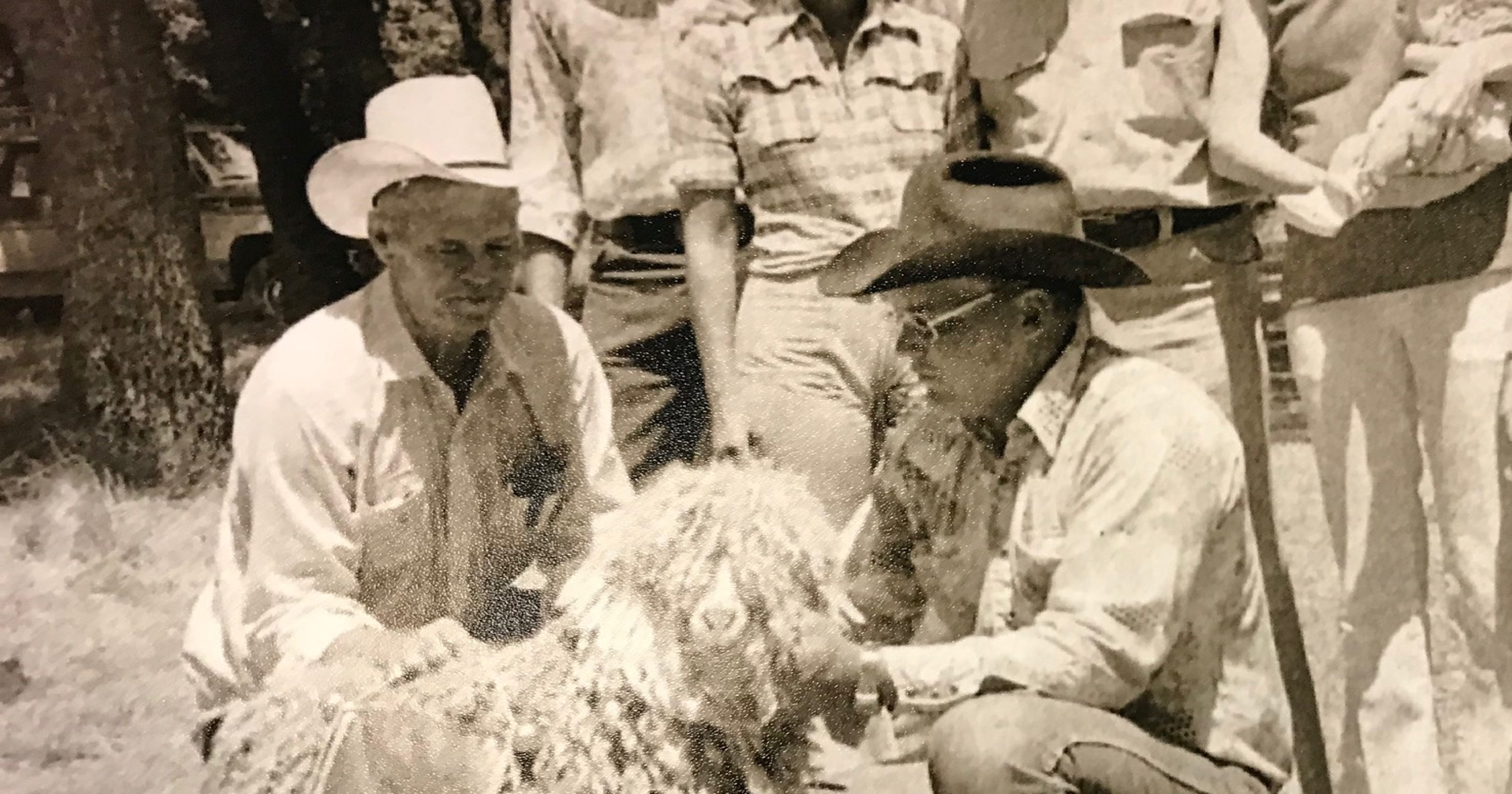 HOMESTEAD: Fort Terrett Ranch has been in operation since 1854