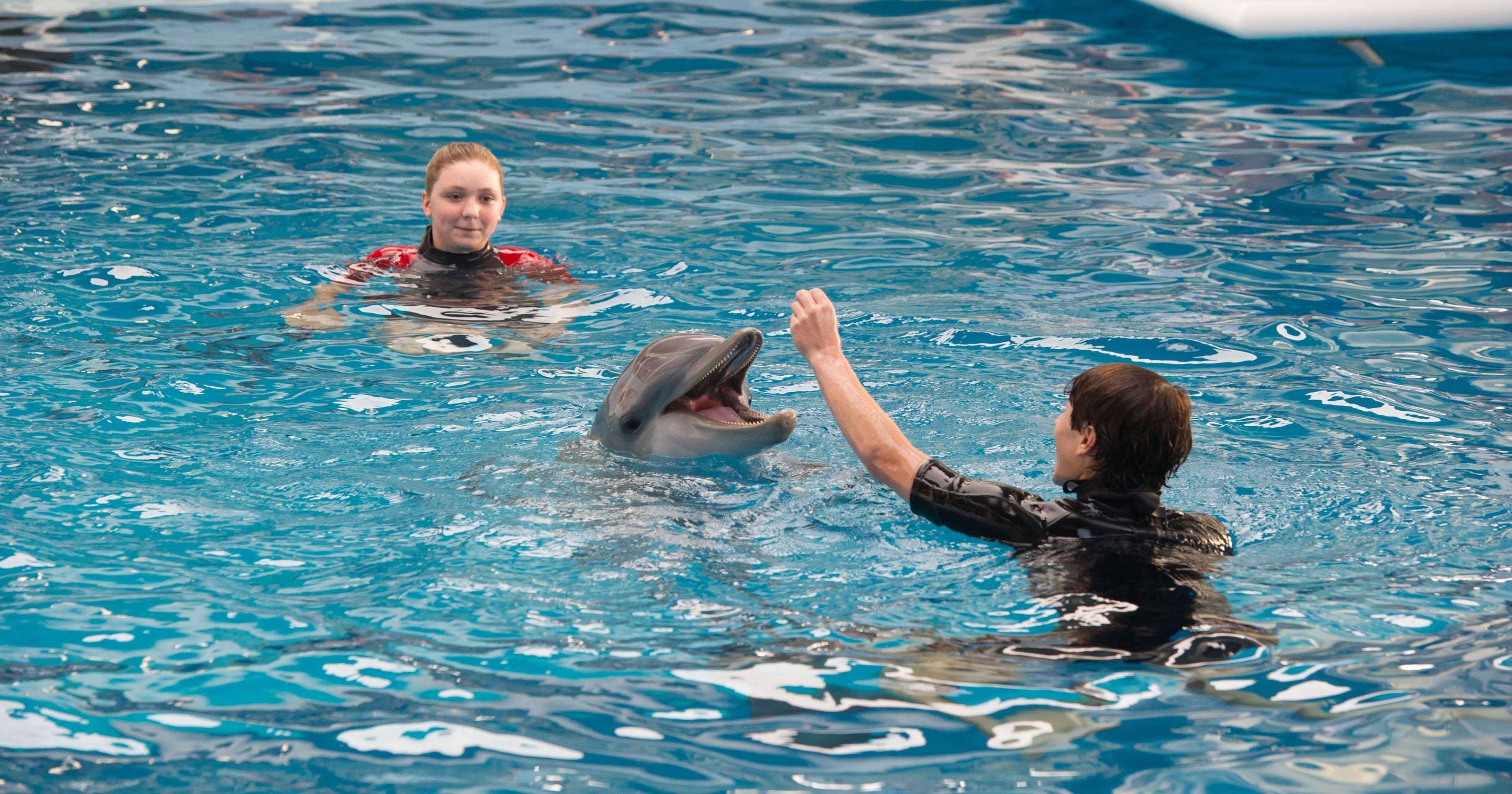'Dolphin Tale 2' pulls from real events