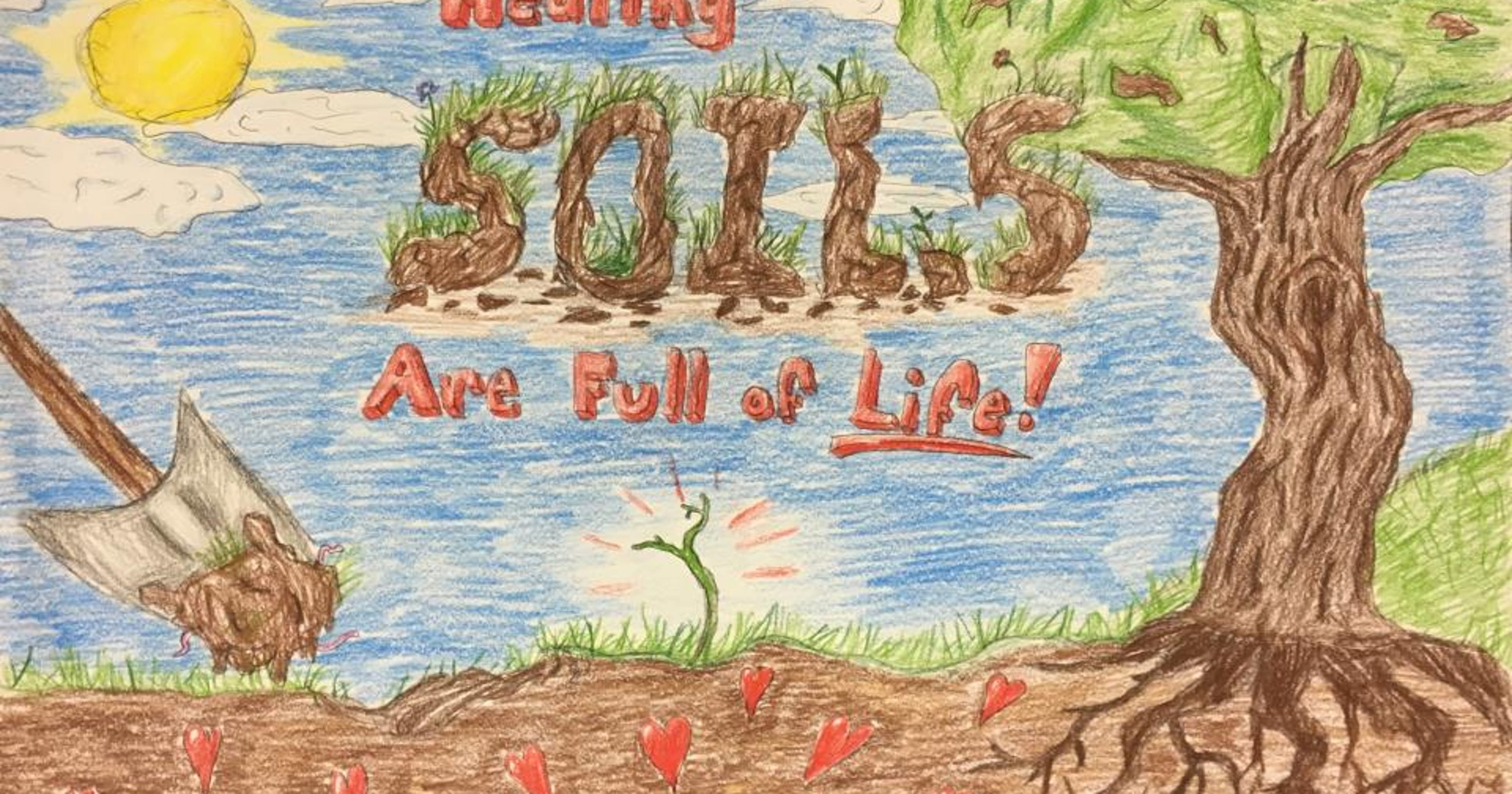2017 Conservation And Environmental Awareness Poster Contest Winners