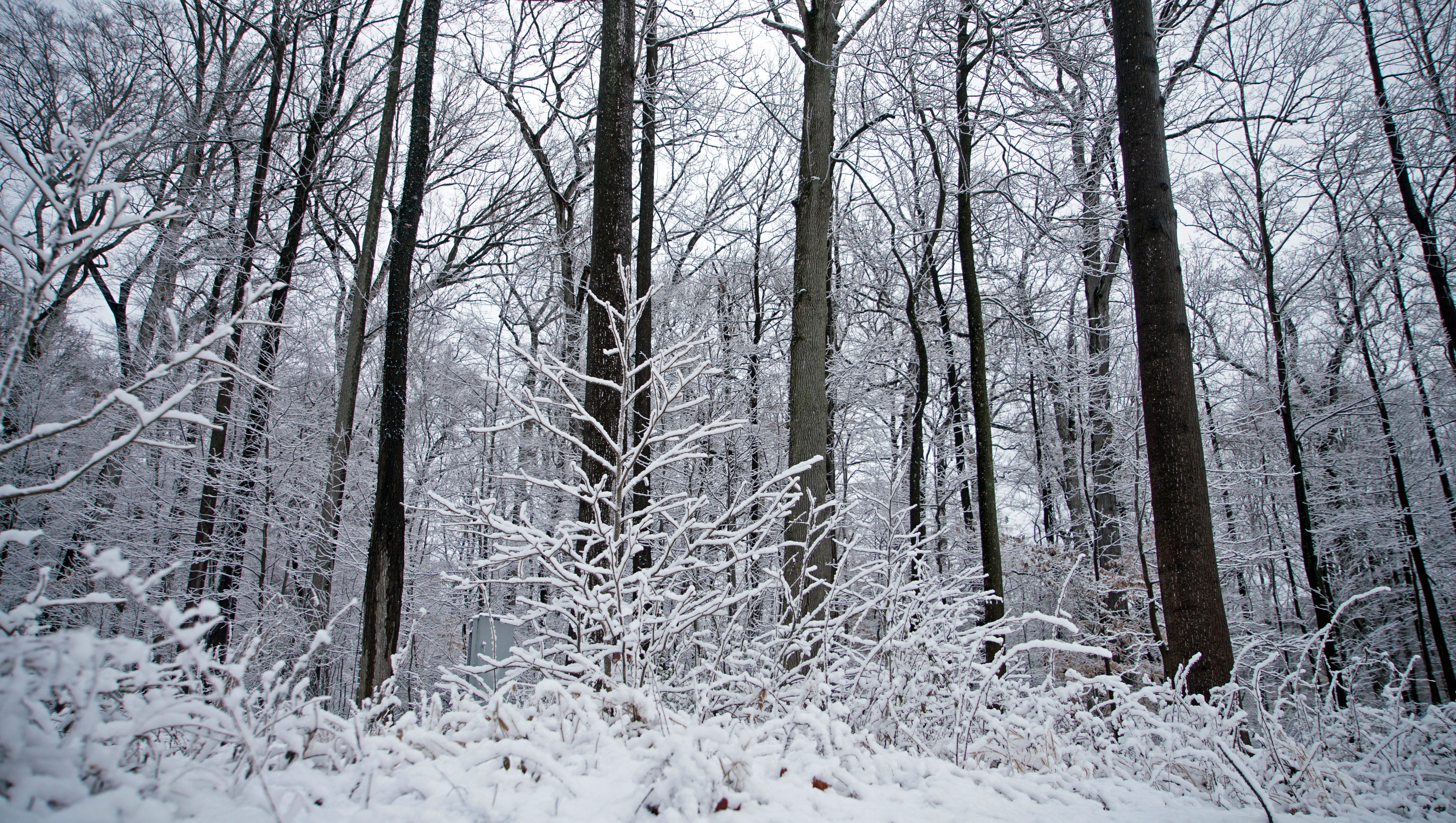 Delaware may get 8-12 inches of snow next week