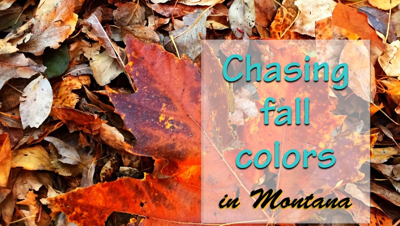 Montana fall colors guide: Seven spots for spectacular autumn views