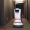 Ready for the hotel industry's first robotic butler?