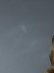 Kaye Ballard dies in Rancho Mirage at 93 after lifetime of achievement