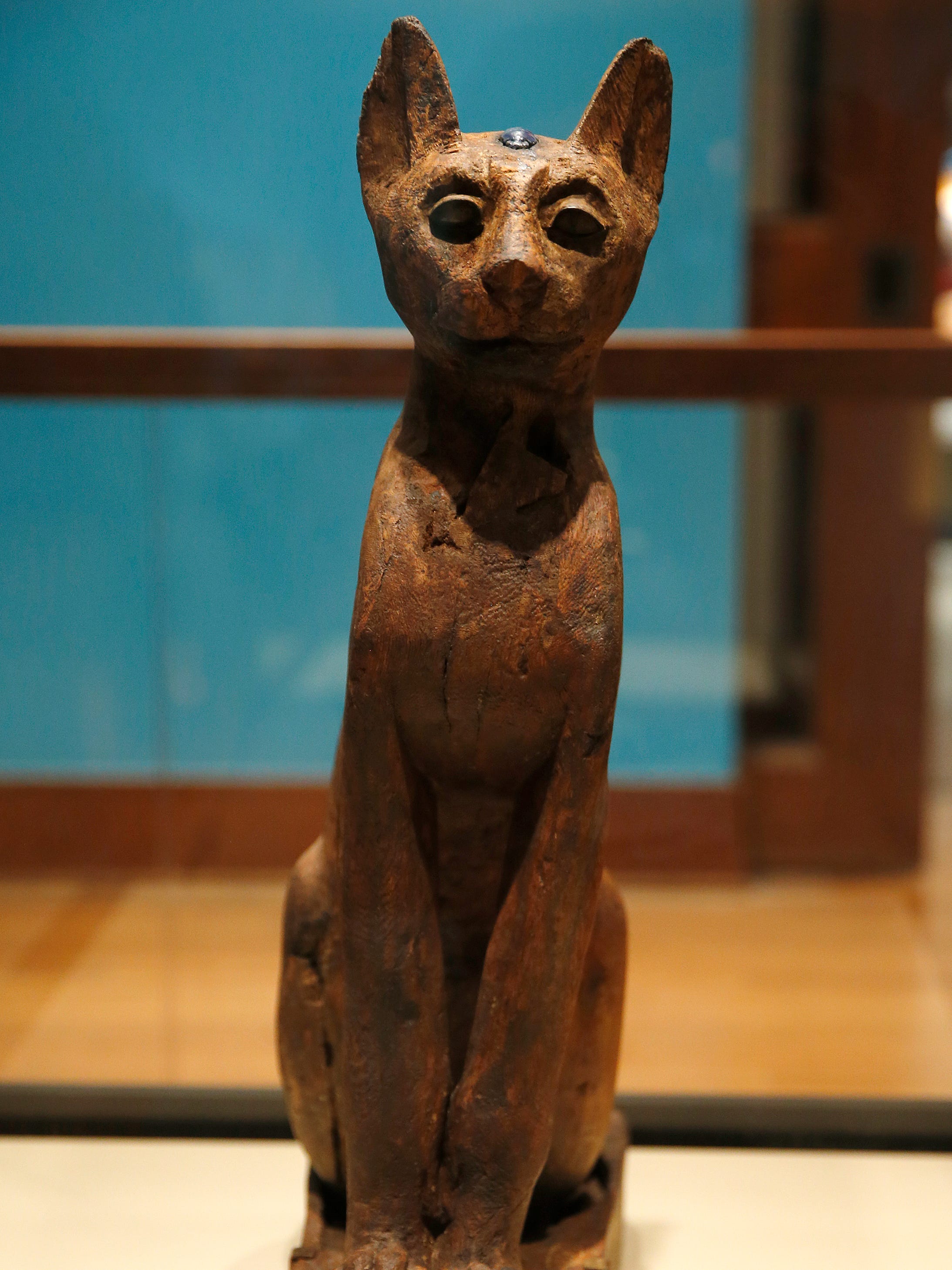 'Divine Felines' – and cat videos! – invade Cincinnati Art Museum