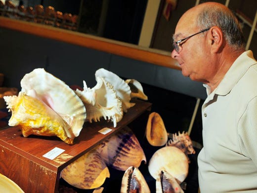 Seashell Festival draws hundreds