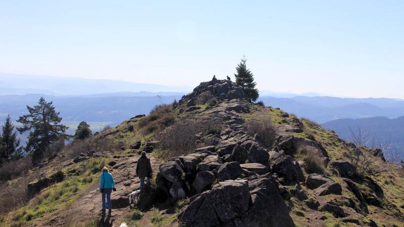 Here are the 5 best hikes in Eugene, Oregon