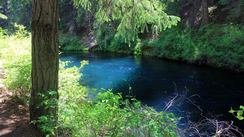 Fifty shades of blue: Exploring the Metolius River Trail
