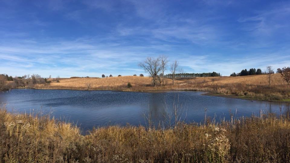 Iowa City hiking: Five overlooked places for spring hikes